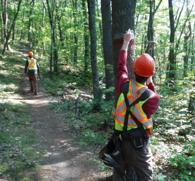 Kazabazua veut développer un réseau de sentiers pédestres | CHGA