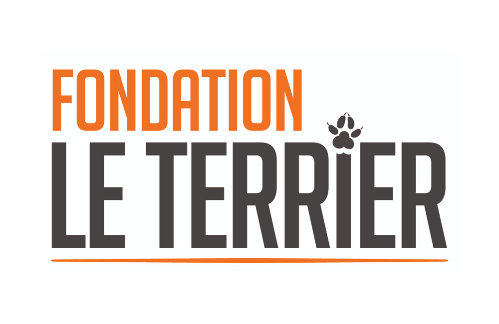 La Fondation le Terrier sort la tête de l’eau | CHGA