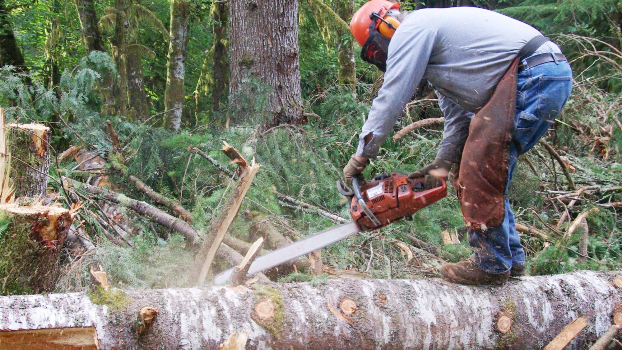 64e AGA de l’Office des producteurs de bois de la Gatineau | CHGA