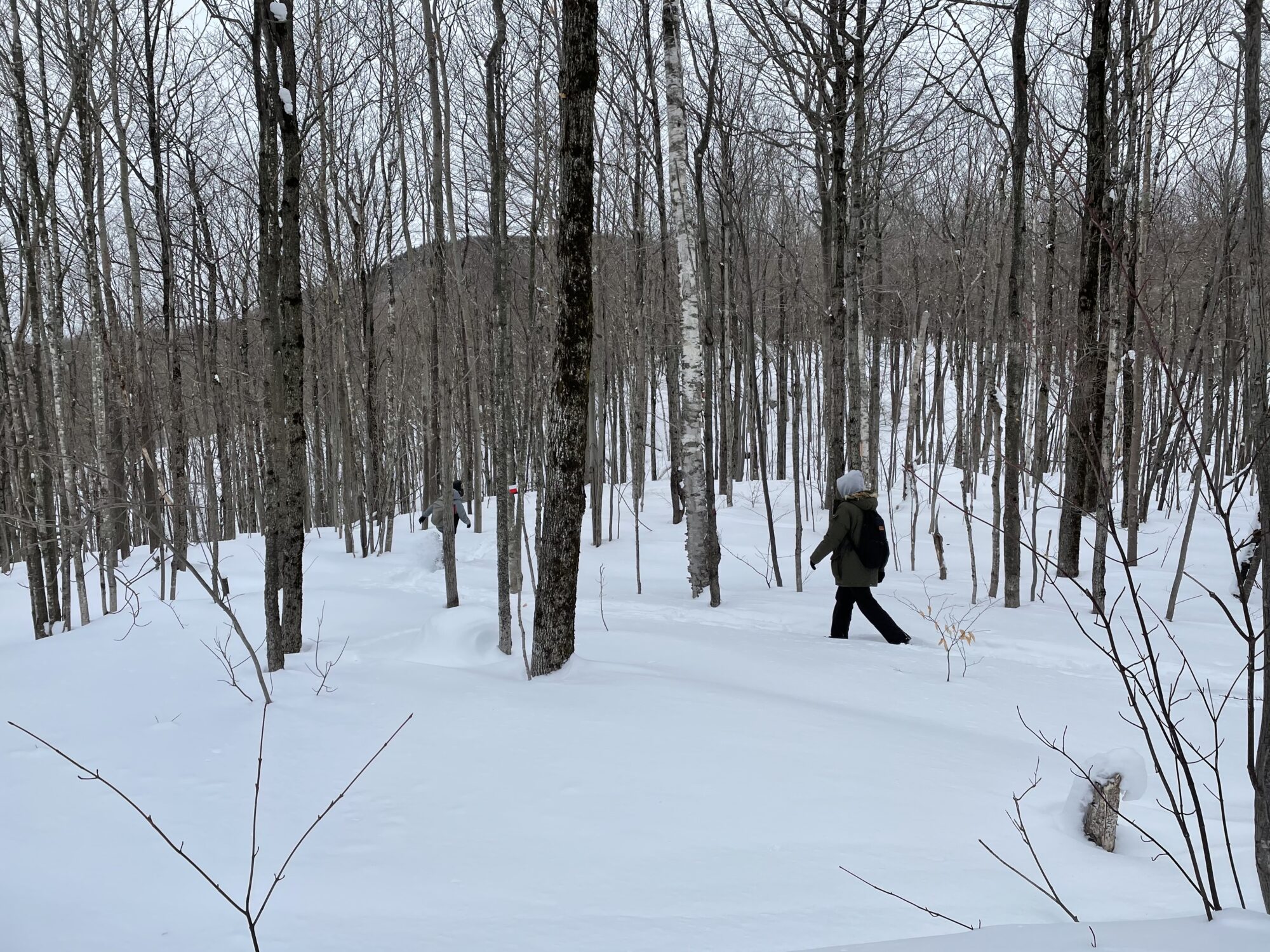 Un hiver doux, un hiver record au Canada | CHGA