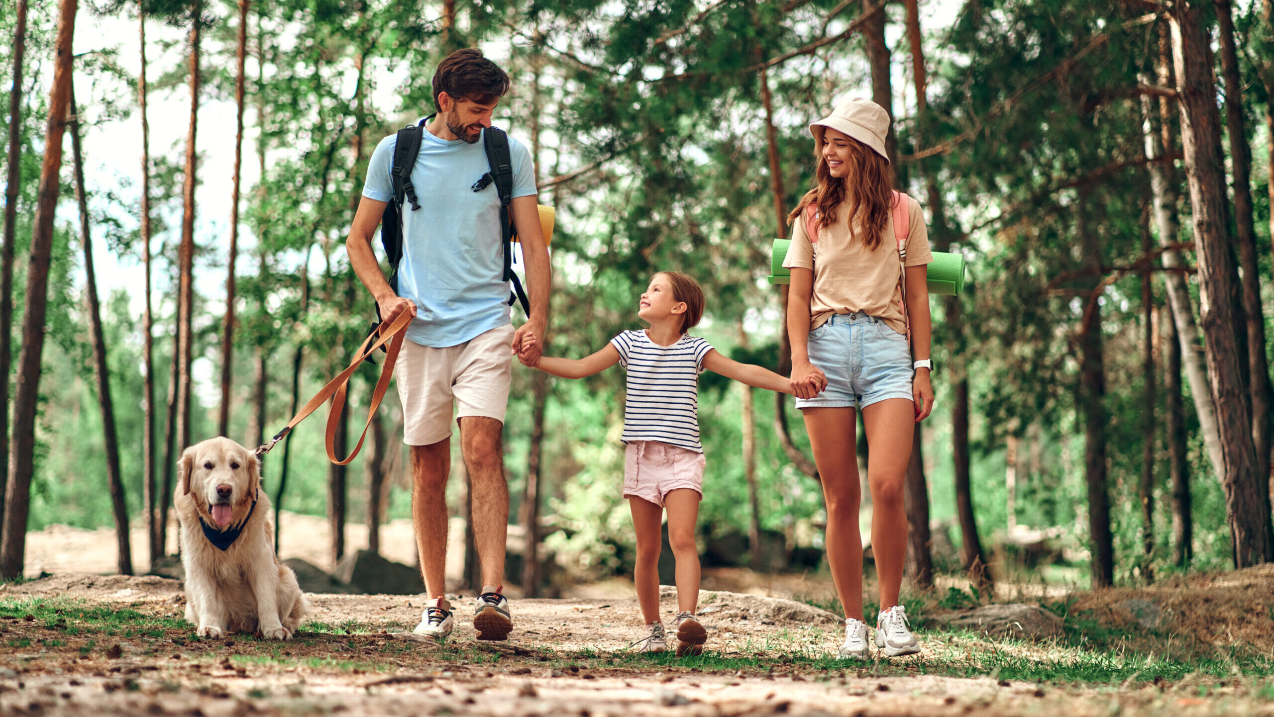 Le PERO dresse un bilan positif de la saison 2024 | CHGA