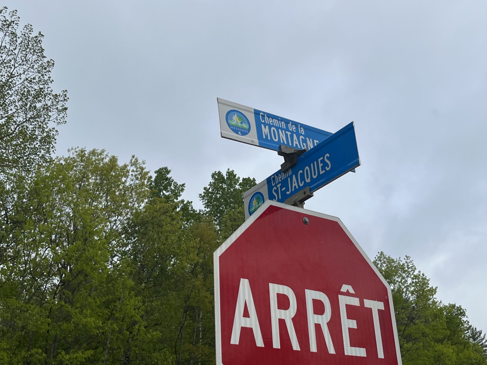Chute d’un arbre à Messines : le chemin est à nouveau ouvert | CHGA