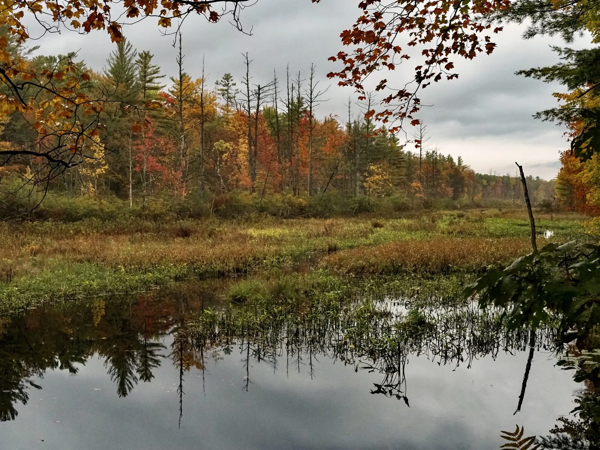 La MRC consulte les citoyens en vue de l’adoption de son plan d’action ...