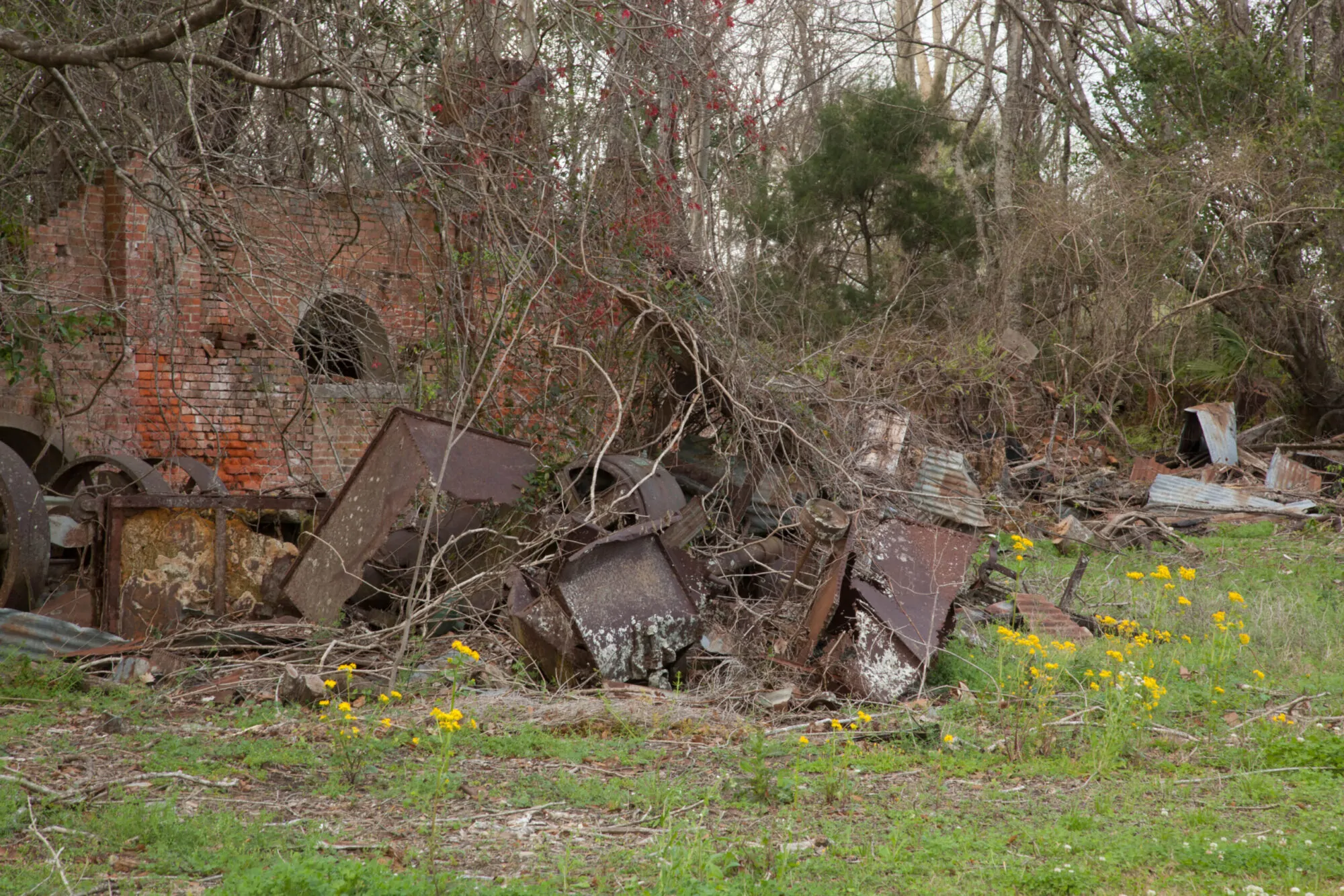 Priorité municipale : Déléage veut combattre la pollution visuelle | CHGA